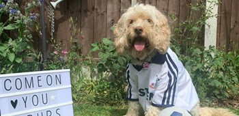 Dog of the Match – Brentford | Tottenham Hotspur