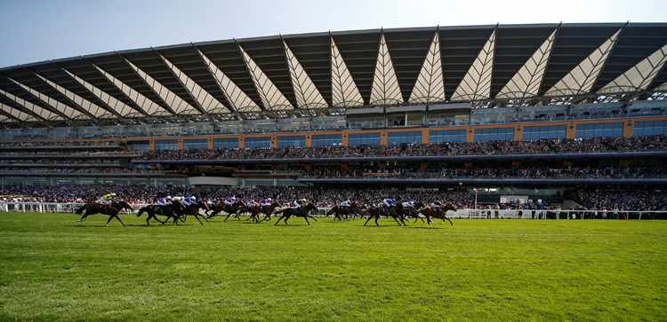 Spurs fan Phil Cunningham ready for Royal Ascot | Tottenham Hotspur