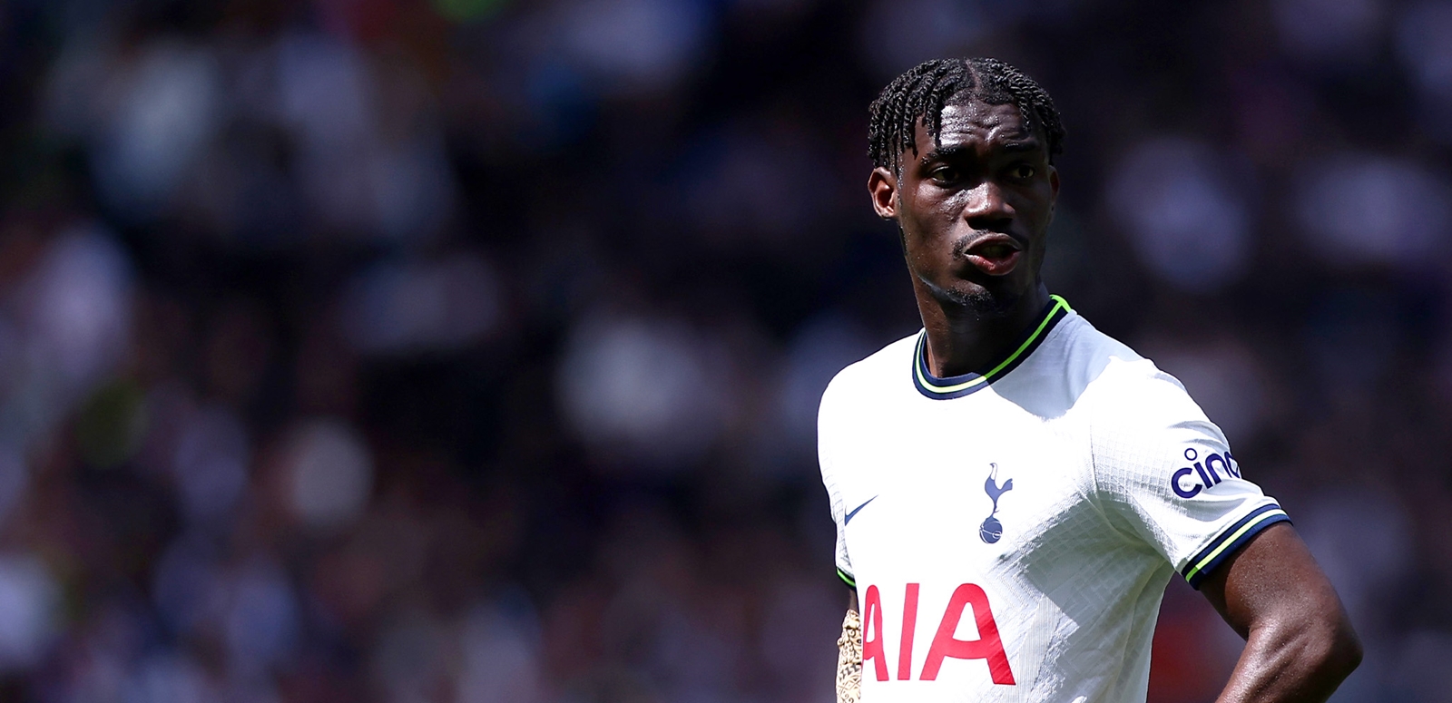 Yves Bissouma profile, statistics and news | Tottenham Hotspur