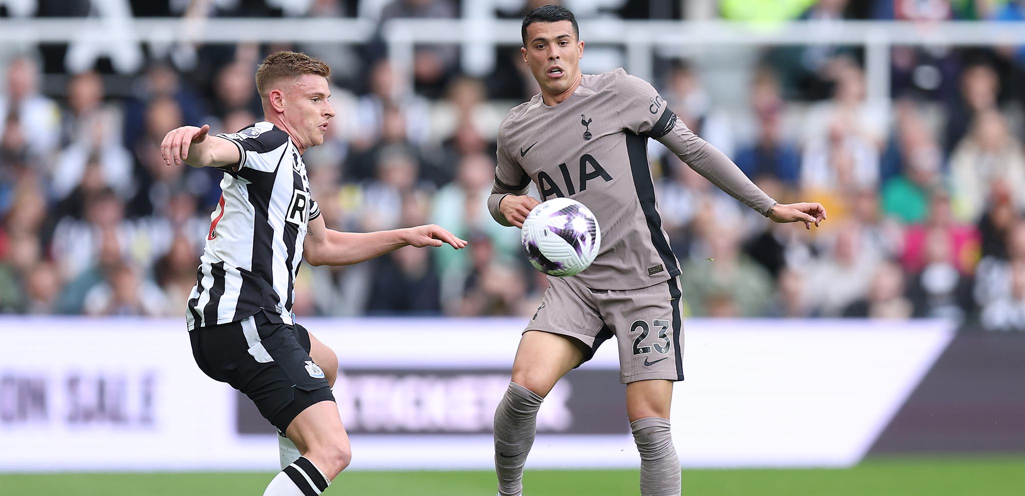 Official Spurs Website | Tottenham Hotspur